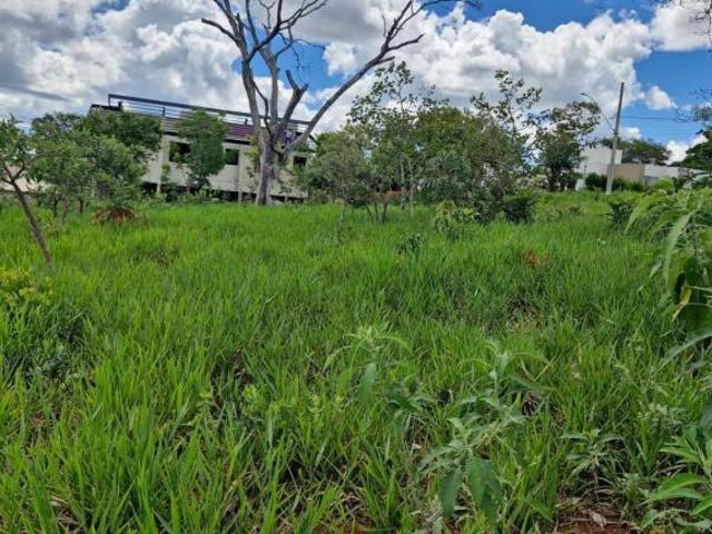 Lote / Terreno à venda em Lagoa Santa, no bairro Lagoinha De Fora