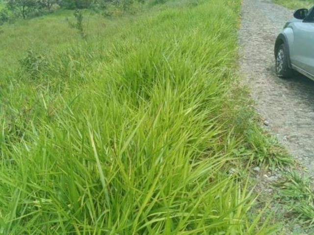 Lote / Terreno à venda em Matozinhos, no bairro Presidente