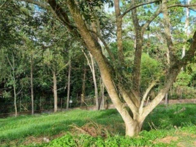 Lote / Terreno à venda em Nova Lima, no bairro Alphaville Lagoa Dos Ingleses