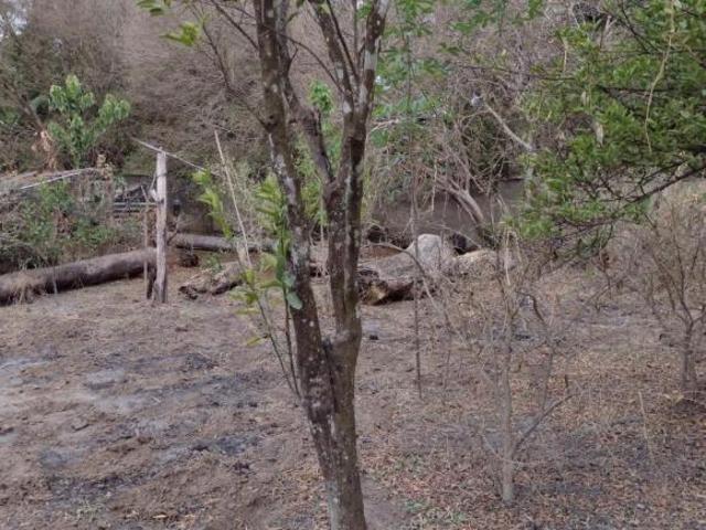 Lote / Terreno à venda em Ribeirão Das Neves, no bairro Areias