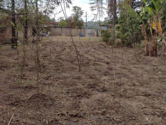 Lote / Terreno à venda em Ribeirão Das Neves, no bairro Areias