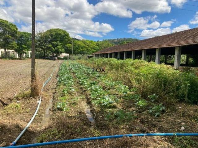 Lote / Terreno à venda em São José Da Lapa, no bairro Inácia De Carvalho