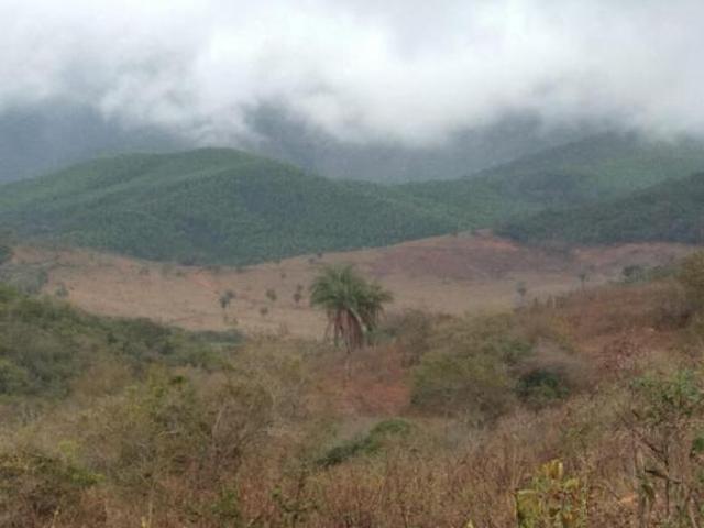 Lote / Terreno à venda em Santa Bárbara, no bairro Zona Rural