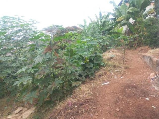 Lote / Terreno à venda em Santa Luzia, no bairro São Benedito