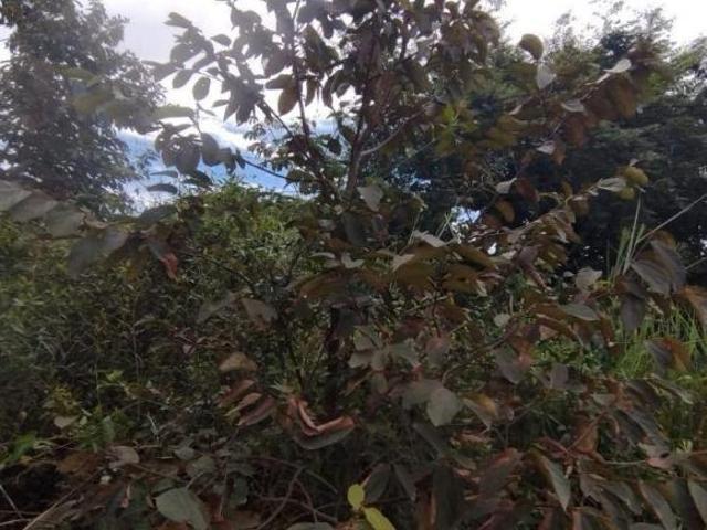 Lote / Terreno à venda em Sabará, no bairro Villa Real