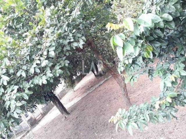 Lote Terreno à venda, Pompéia Belo Horizonte/MG