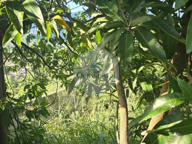 Lote / Terreno em Camarão Ilhabela, SP
