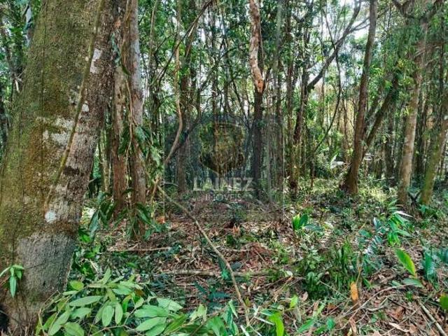 Lote / Terreno em Centro Juquitiba