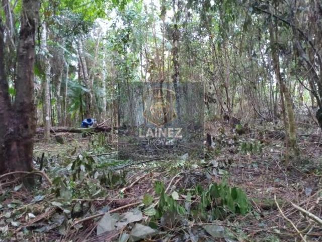 Lote / Terreno em Centro São Lourenço da Serra