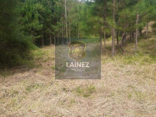 Lote / Terreno em Centro São Lourenço da Serra