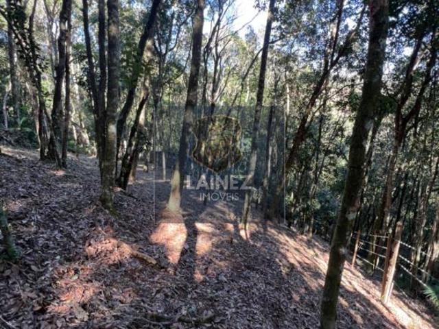 Lote / Terreno em Centro São Lourenço da Serra