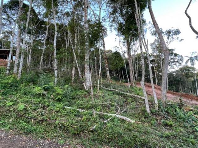 Lote / Terreno em Centro São Lourenço da Serra