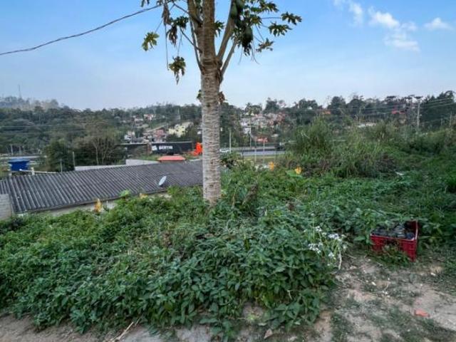 Lote / Terreno em Centro São Lourenço da Serra
