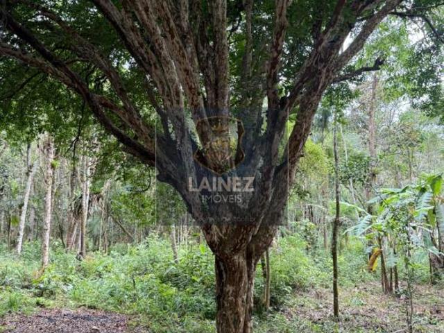 Lote / Terreno em Centro São Lourenço da Serra