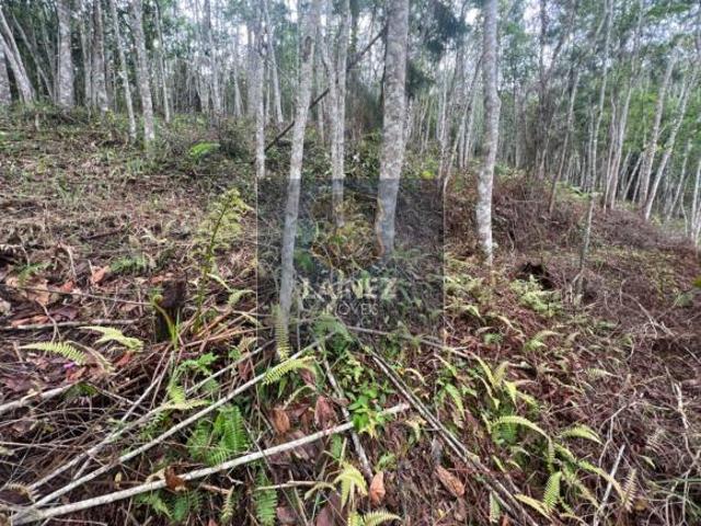 Lote / Terreno em Centro São Lourenço da Serra São Lourenço da Serra