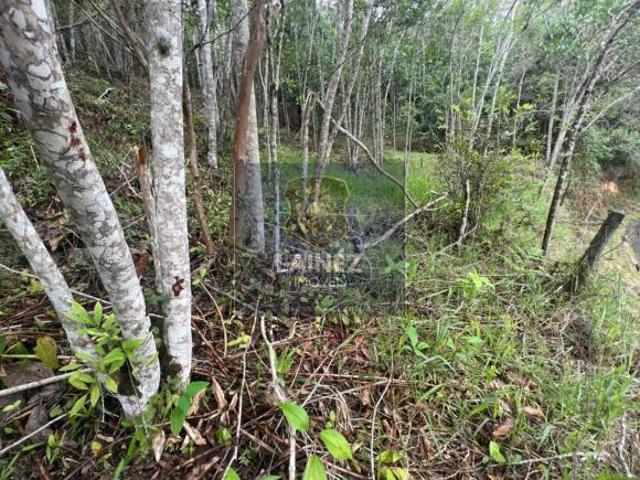 Lote / Terreno em Centro São Lourenço da Serra São Lourenço da Serra