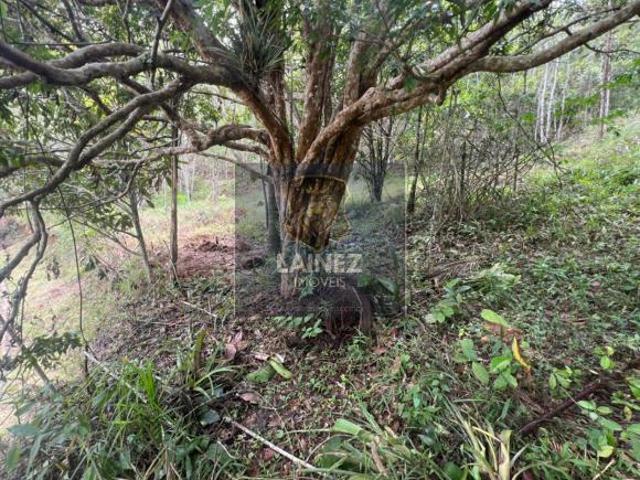 Lote / Terreno em Centro São Lourenço da Serra São Lourenço da Serra