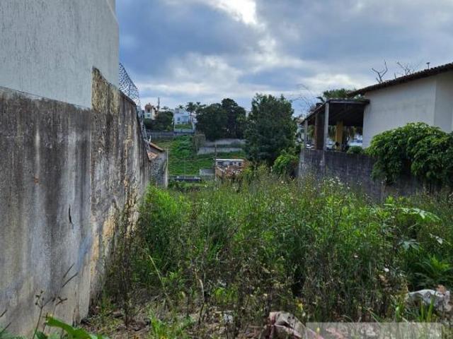 Compre lote em Vila Oliveira Mogi das Cruzes