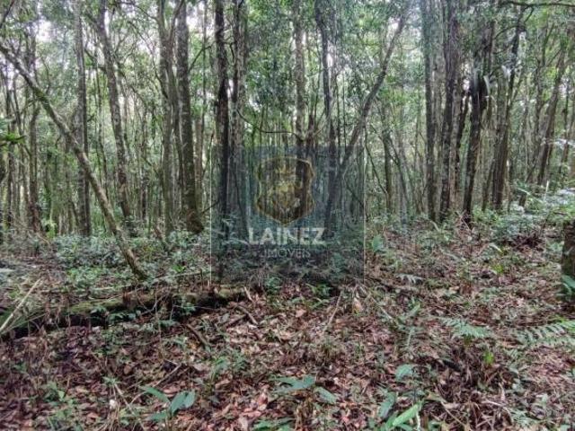 Lote / Terreno em Barrinha São Lourenço da Serra
