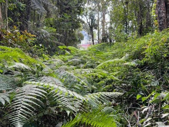 Lote / Terreno em Despésio São Lourenço da Serra