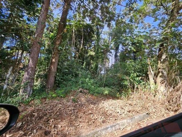 Lote / Terreno em Fazenda Capelinha Mogi das Cruzes