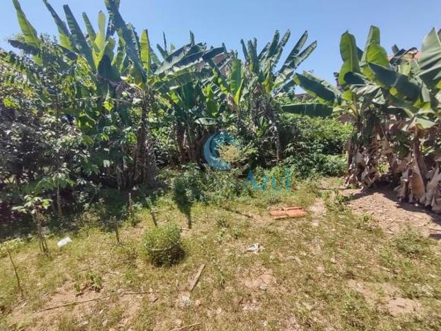 Lote / Terreno em Jardim das Palmeiras Cara.