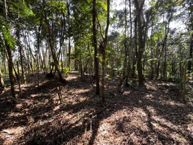 Lote / Terreno em Jardim Serrano São Lourenço da Serra