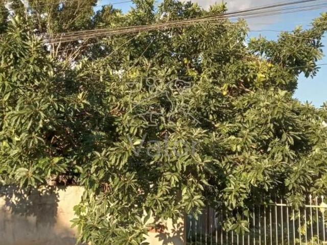 Lote / Terreno em Novo Mundo Curitiba