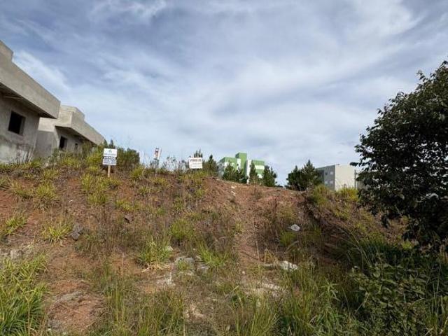 Lote / Terreno em São Virgílio Caxias do Sul