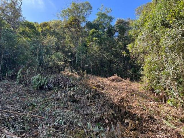 Lote / Terreno em Portal São Lourenço da Serra
