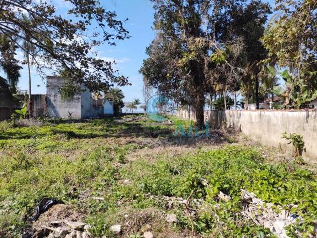 Lote / Terreno em Praia das Palmeiras Carag.