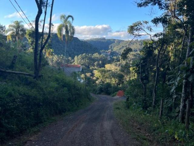 Lote / Terreno em Terzas São Lourenço da Serra