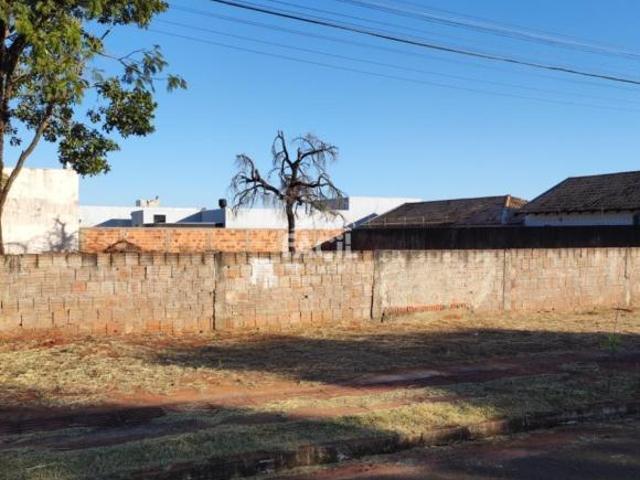 Lote / Terreno em Vila Nascente Campo Grande