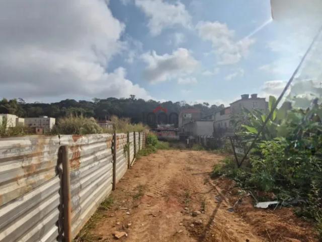 Lote / Terreno São Pedro