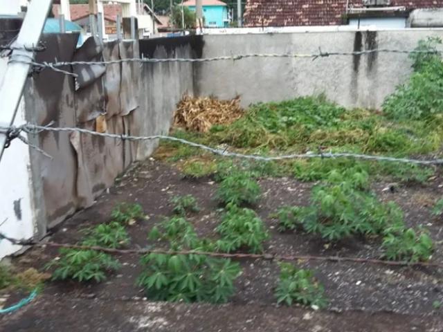Lote / Terreno para Venda
