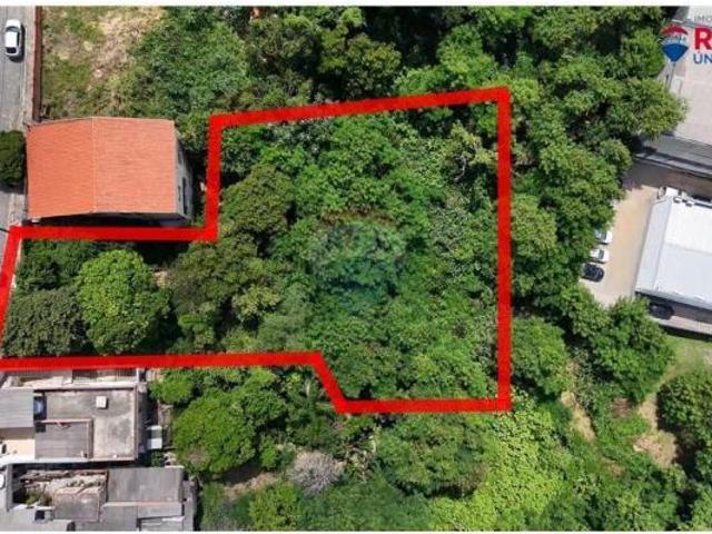 Lote / Terreno para venda em Vila São João de 2000.00m²