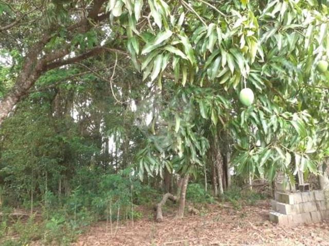 Lote / Terreno para venda em Bairro Da Ponte Alta de 92000.00m²