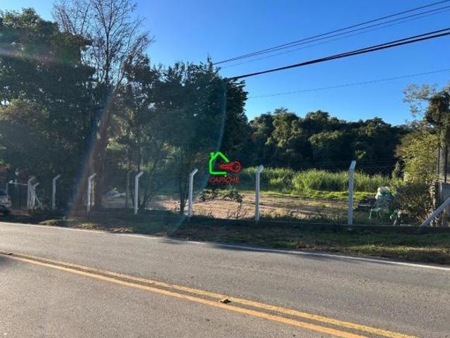 Lote / Terreno para venda em Cachoeira de 5050.00m²