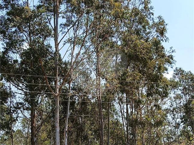 Lote / Terreno para venda em Cachoeira em Atibaia São Paulo de 20000.00m²