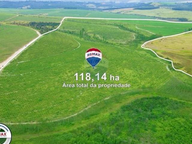 Lote / Terreno para venda em Centro de 118130.00m²