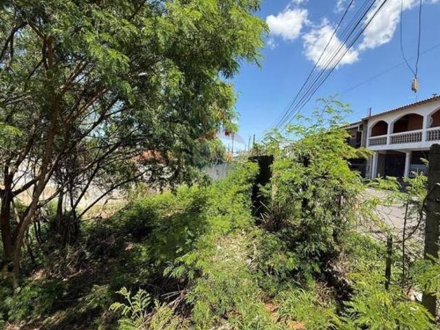 Lote / Terreno para venda em Matadouro de 968.26m²