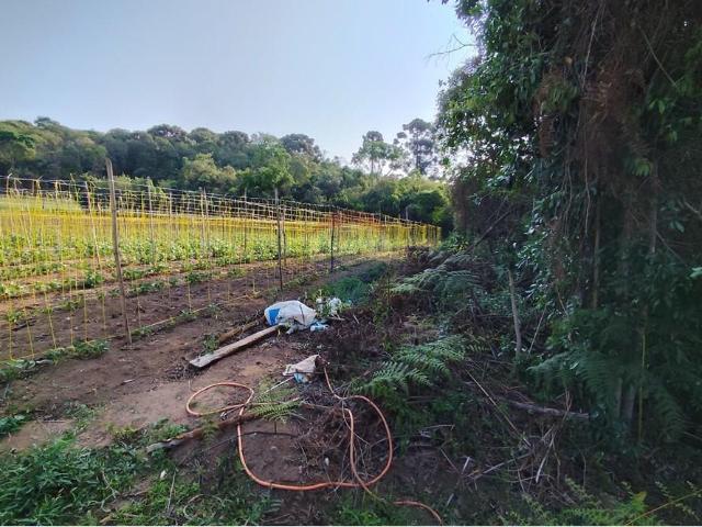 Lote / Terreno para venda em Munhoz em Munhoz Minas Gerais de 70304.00m²