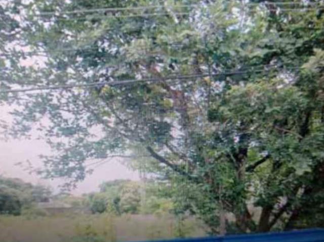 Lote / Terreno para venda em São Braz em Curitiba Paraná de 2486.00m² com 1 Quarto