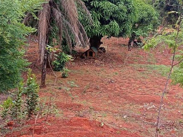 LOTE URBANO NO MANSÕES RECREIO ESTRELA DALVA VI QUADRA 14