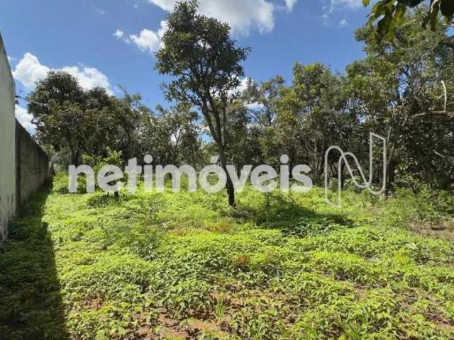 LOTE VAZIO CONDOMÍNIO CHAPÉU DE PEDRA JARDIM BOTÂNICO TORORÓ