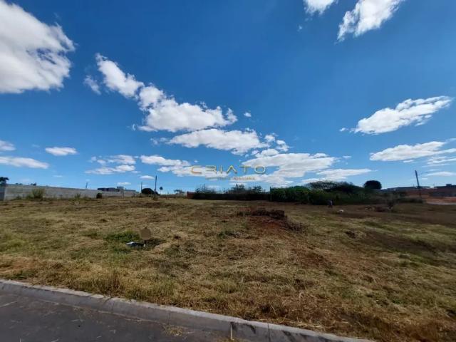 Lote à Venda – Lírios do Campo