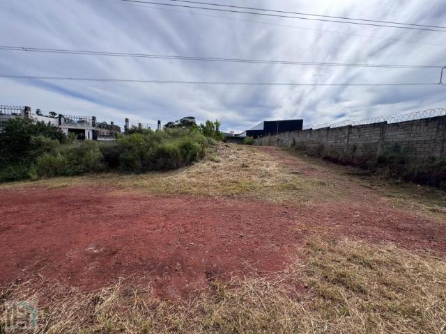 Lote Venda Belo Horizonte MG Olhos D`água