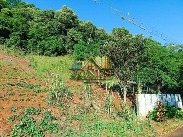Lote Venda Concórdia SC LIBERDADE