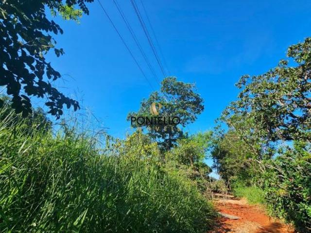 Lote Venda Estiva