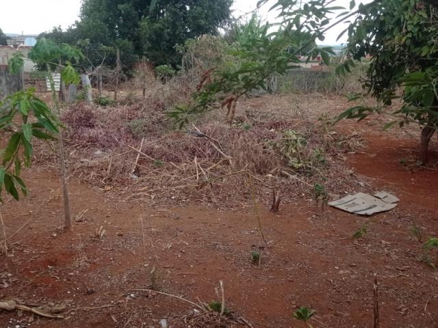 Lote Venda Goianápolis GO Vila Nsa. Sra. de Fátima